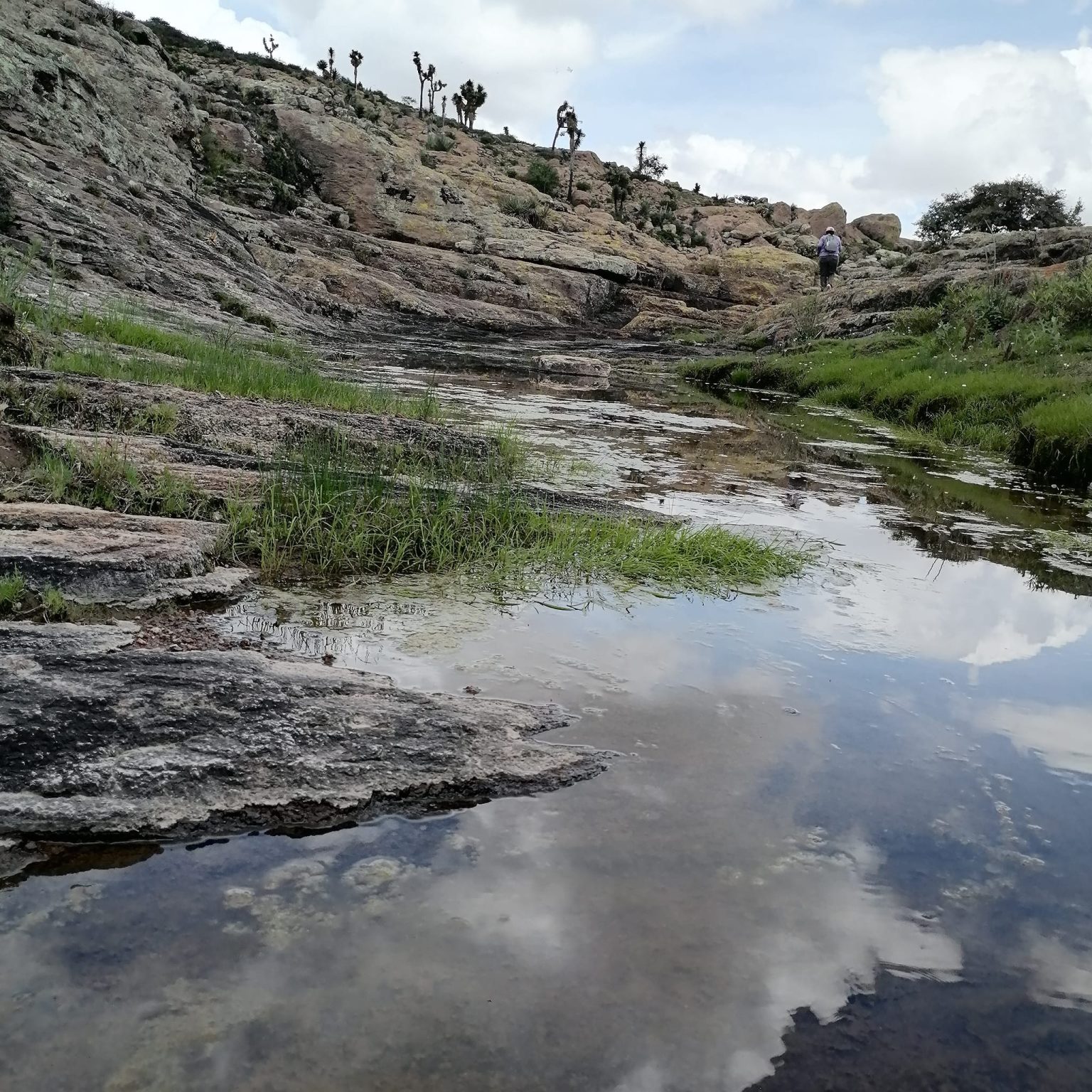 Renacen cascadas y ríos en Aguascalientes. Estos son los lugares que no ...